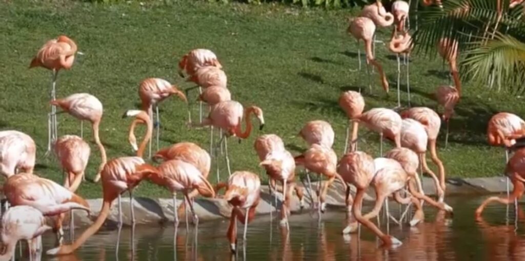 Miami: 10 Mejores Actividades en Pareja - Info USA